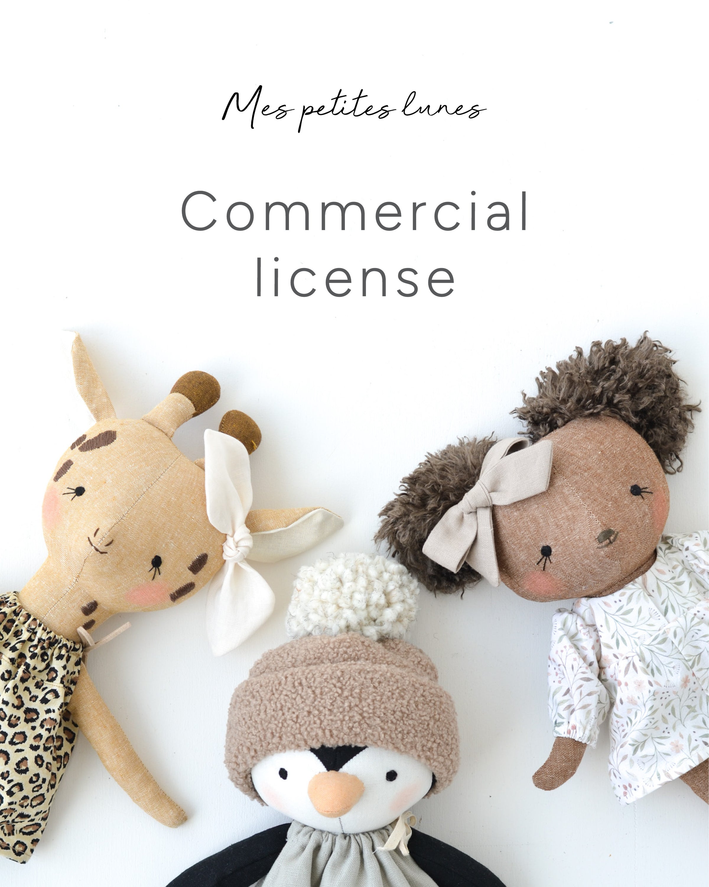 Commercial License